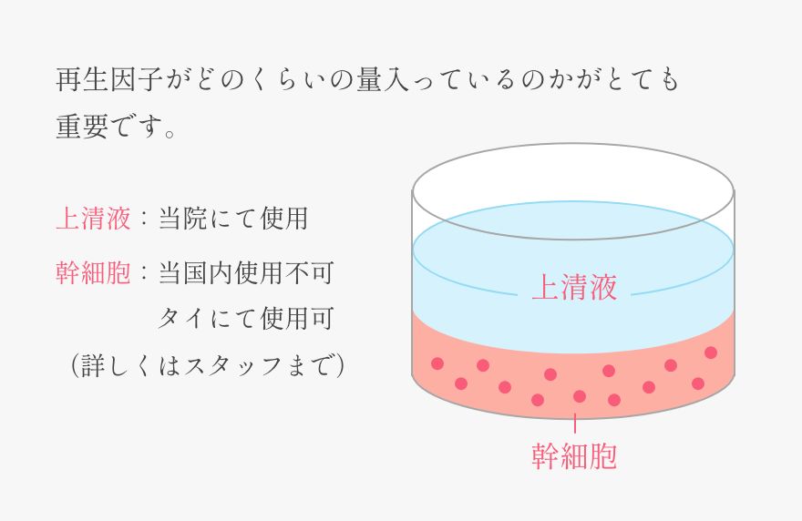 幹細胞上清液 - さくら形成外科